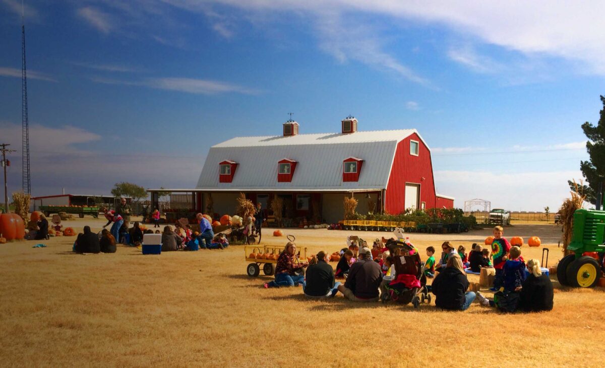 About the Punkin’ Ranch – Assiter Punkin’ Ranch